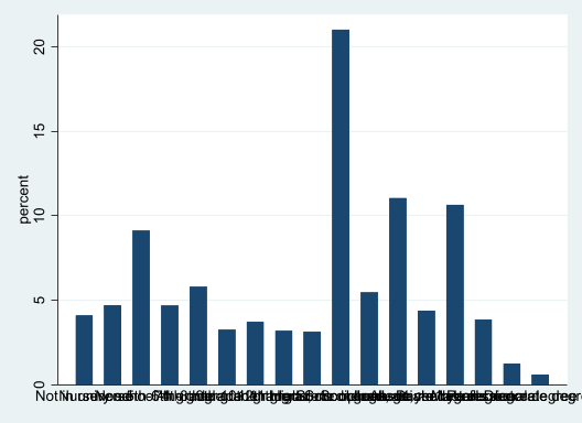 Data Wrangling in Stata - 4 First Steps With Your Data